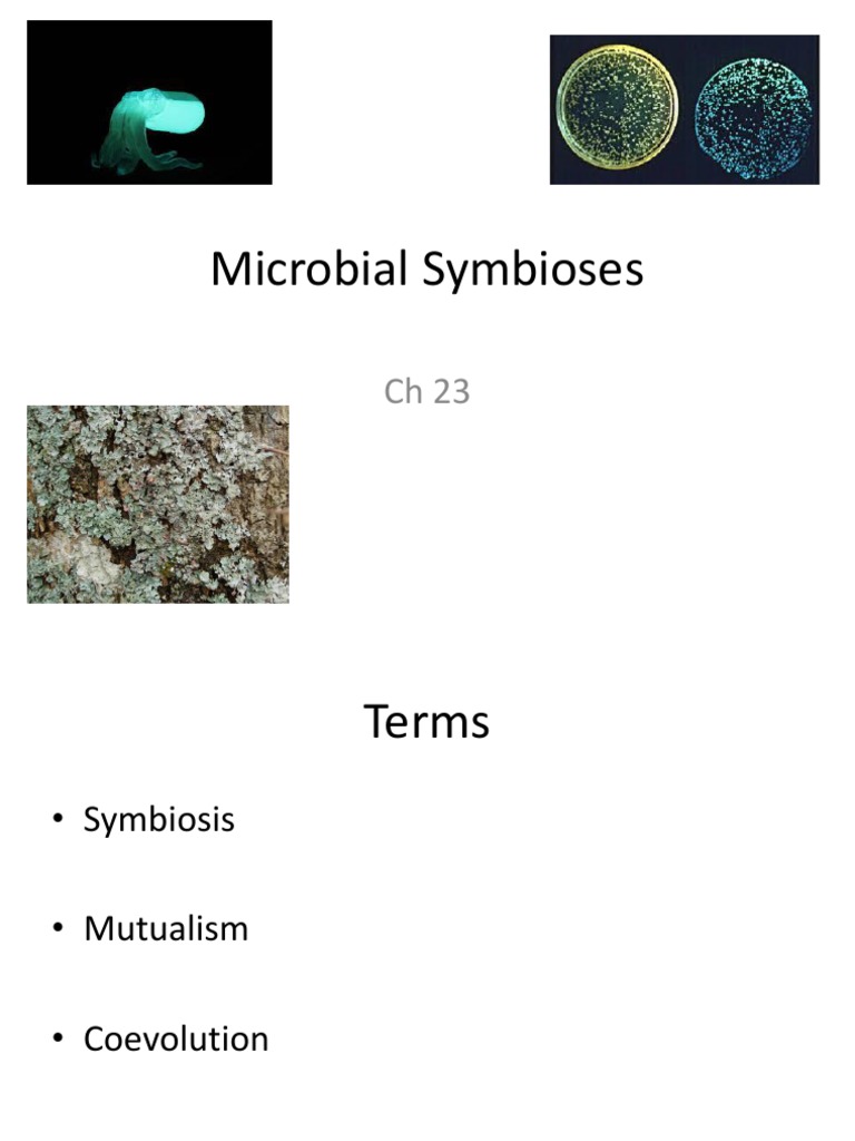 CH 23 Microbial Symbioses | PDF