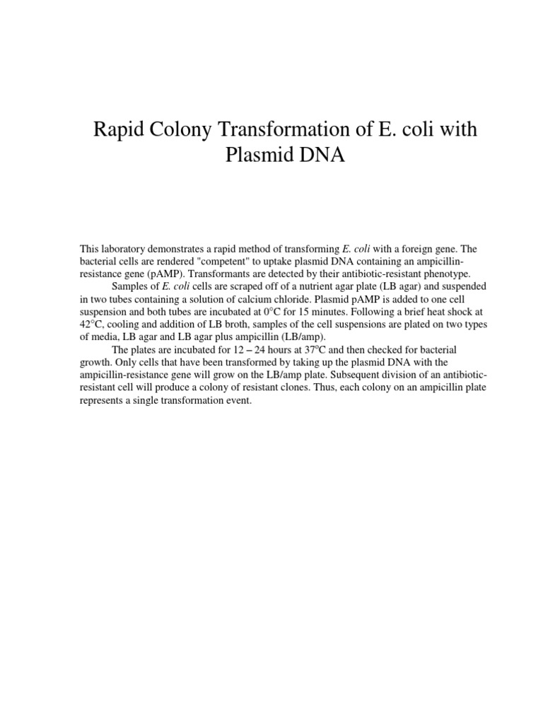 Colony Transformation Student Lab 3 | PDF