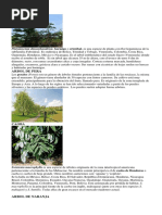 Logos de La UMSS | PDF