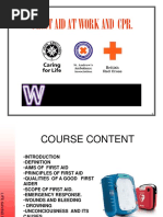 First AId Notes - Updated | PDF | First Aid | Cardiopulmonary Resuscitation