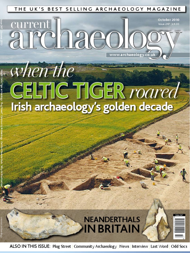 Top Ten Sites of the Celtic Tiger | Archaeology | Ireland