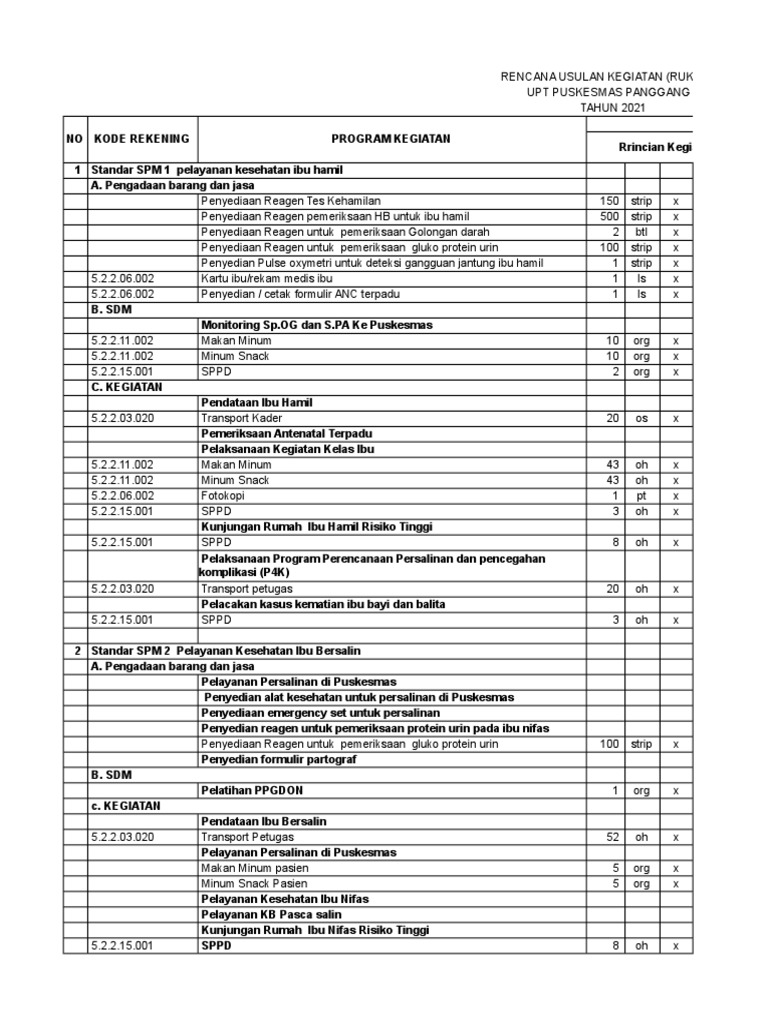 Contoh Ruk 2021 Puskesmas X | PDF