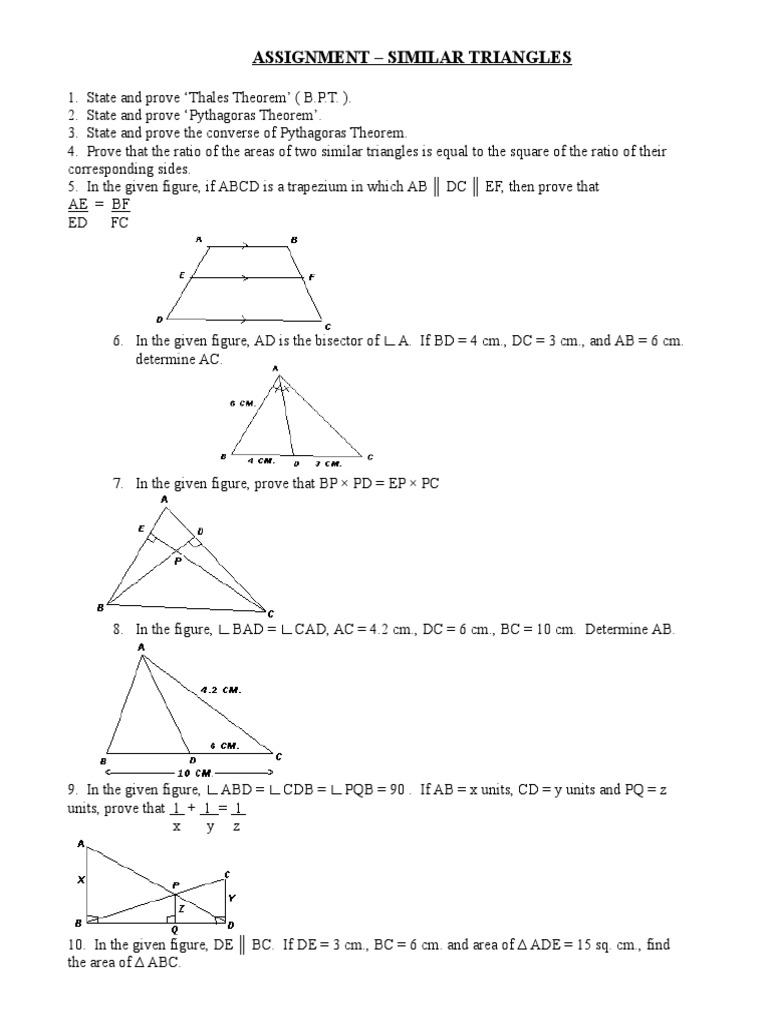 Assignment-Similar Triangle | PDF | Triangle | Area