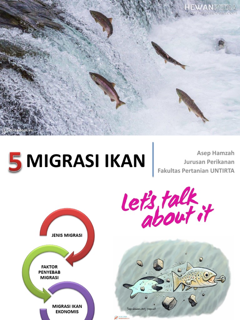 Migrasi Ikan | PDF