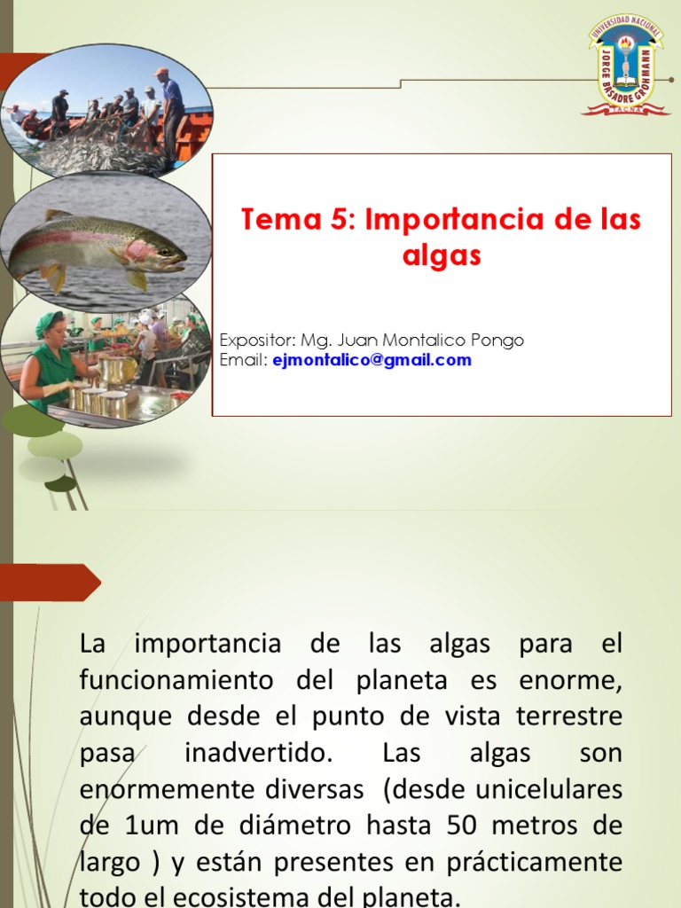 Ficologia Clase 5 Importancia Algas | PDF | Algas | Ecología