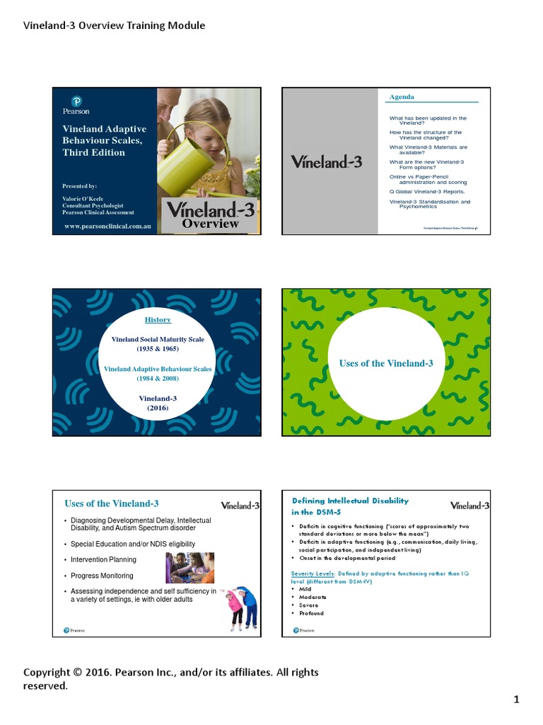 Vineland Assessment