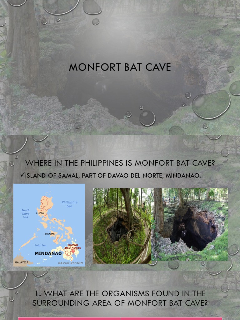 Monfort Bat Cave - Presentation | PDF
