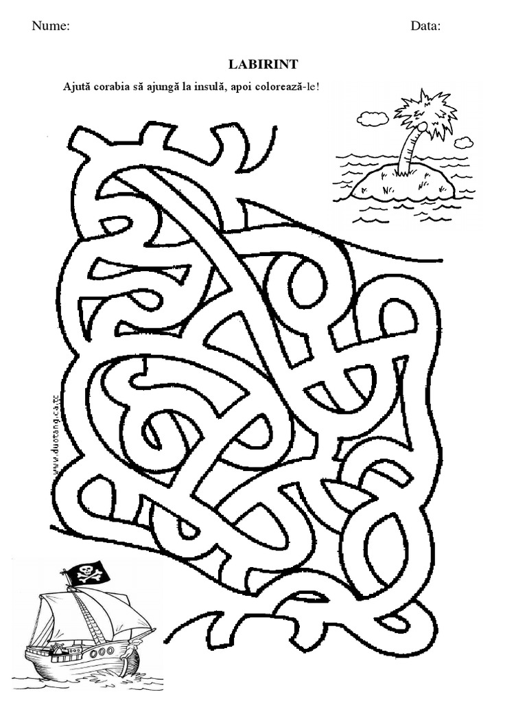 Fisa Labirint Grupa Mare | PDF