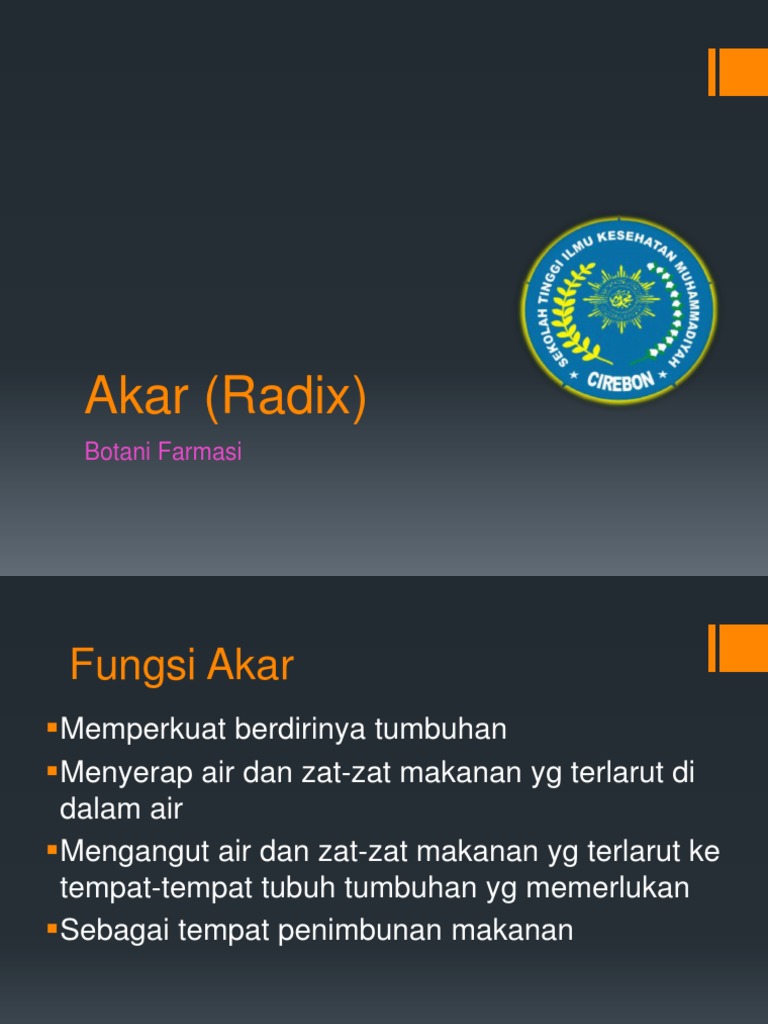 Akar (Radix) | PDF | Sains & Matematika