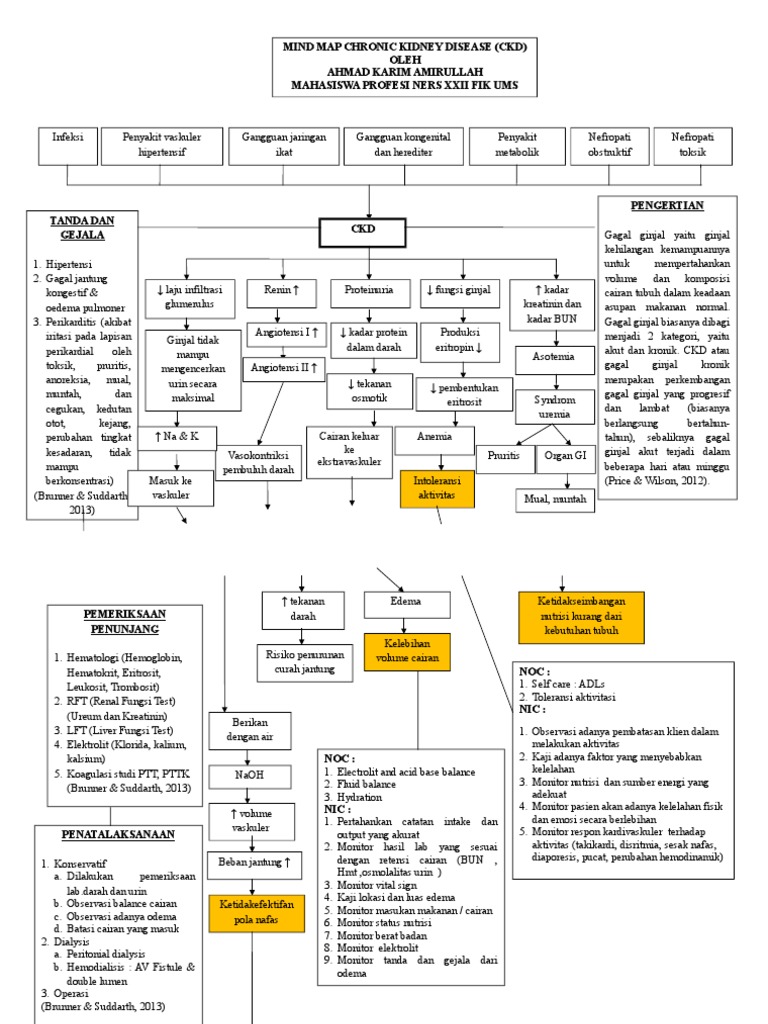 Mind Map CKD | PDF