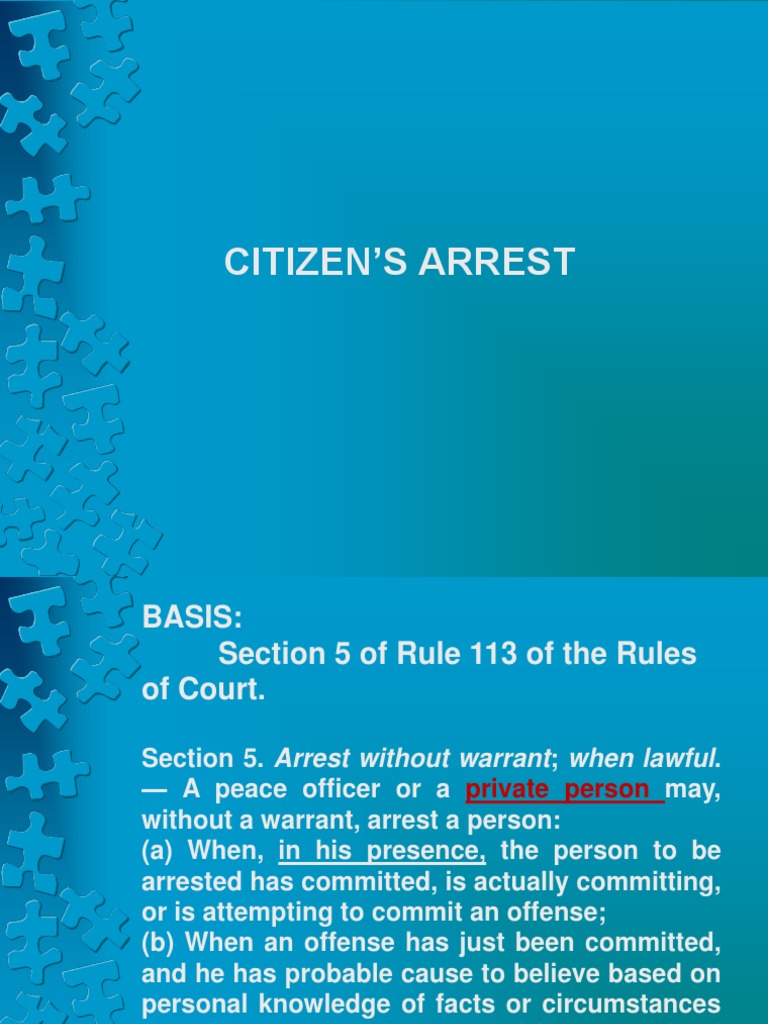 Citizen's Arrest | PDF