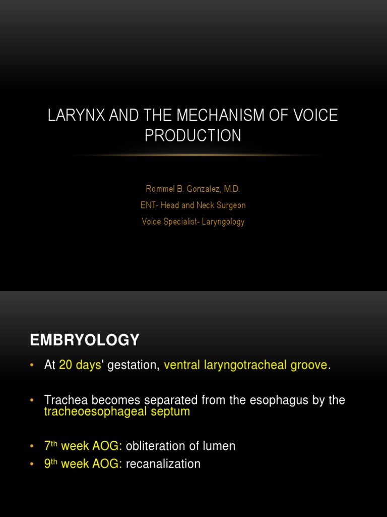Mechanism of Voice Production 2020 | PDF
