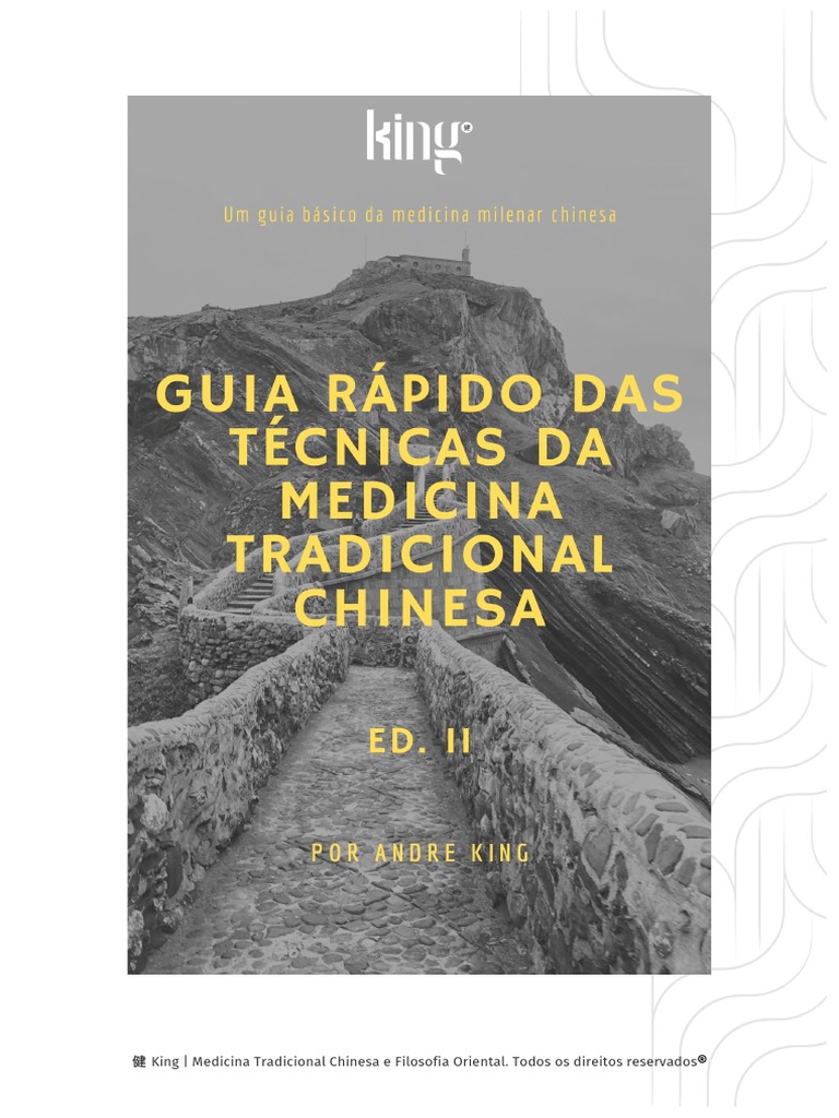 Guia Rápido Das Técnicas Da MTC Ed. II | PDF