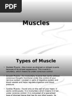 BTEC Sport Level 3 Revision Guide Muscular System | PDF