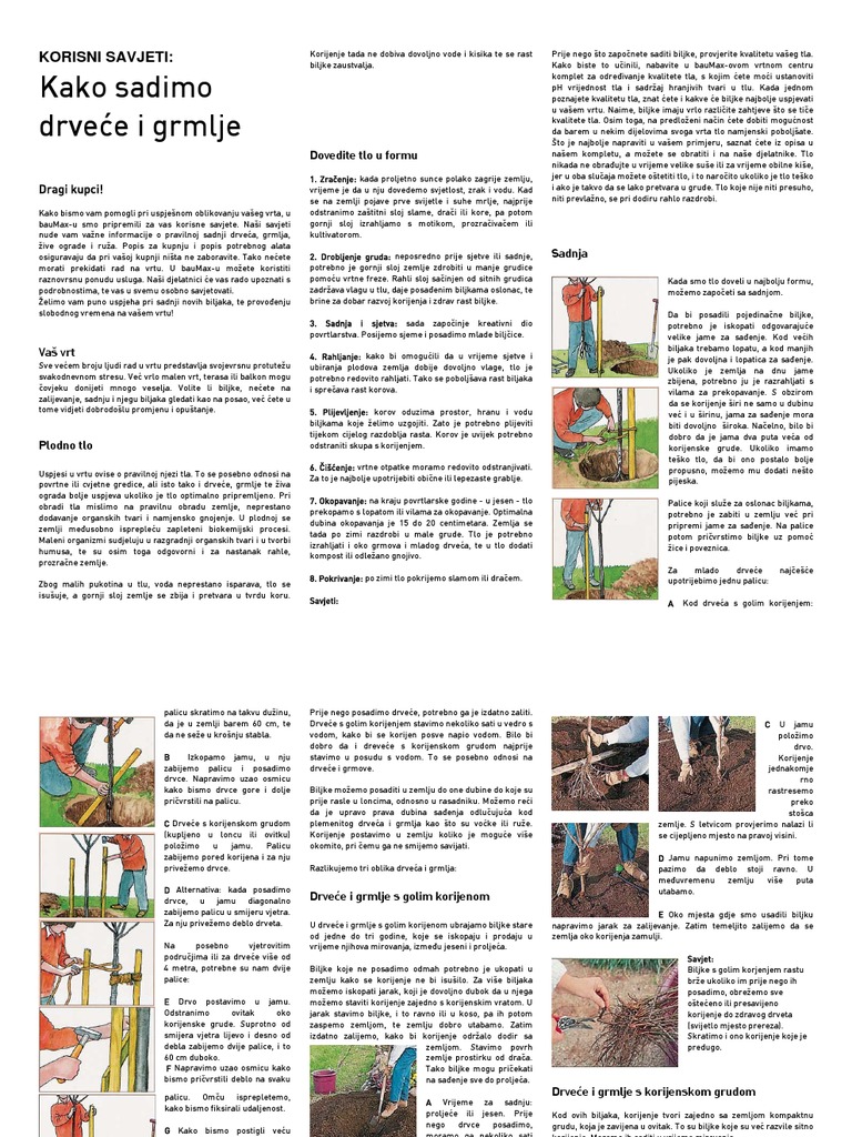 Drvece I Grmlje - Sadnja | PDF
