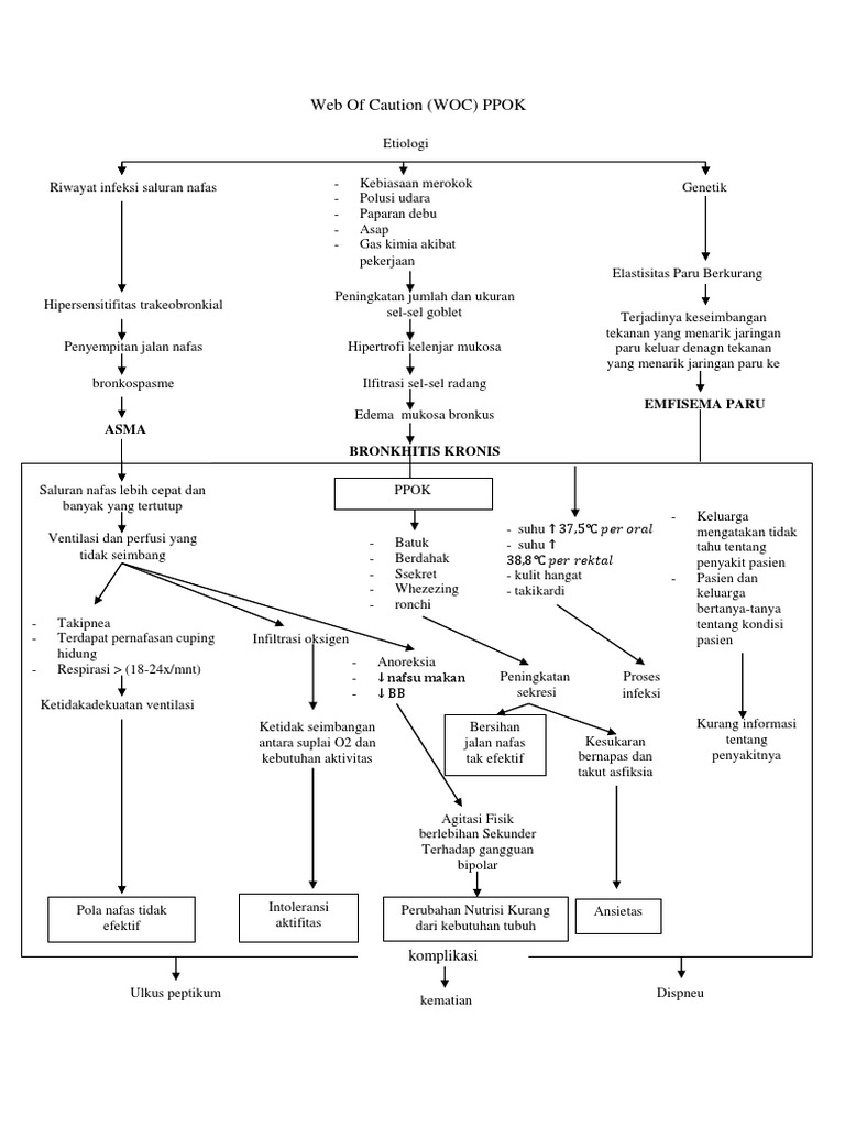 Web of Caution PPOK | PDF