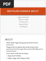 Anatomi Rongga Mulut Manusia | PDF