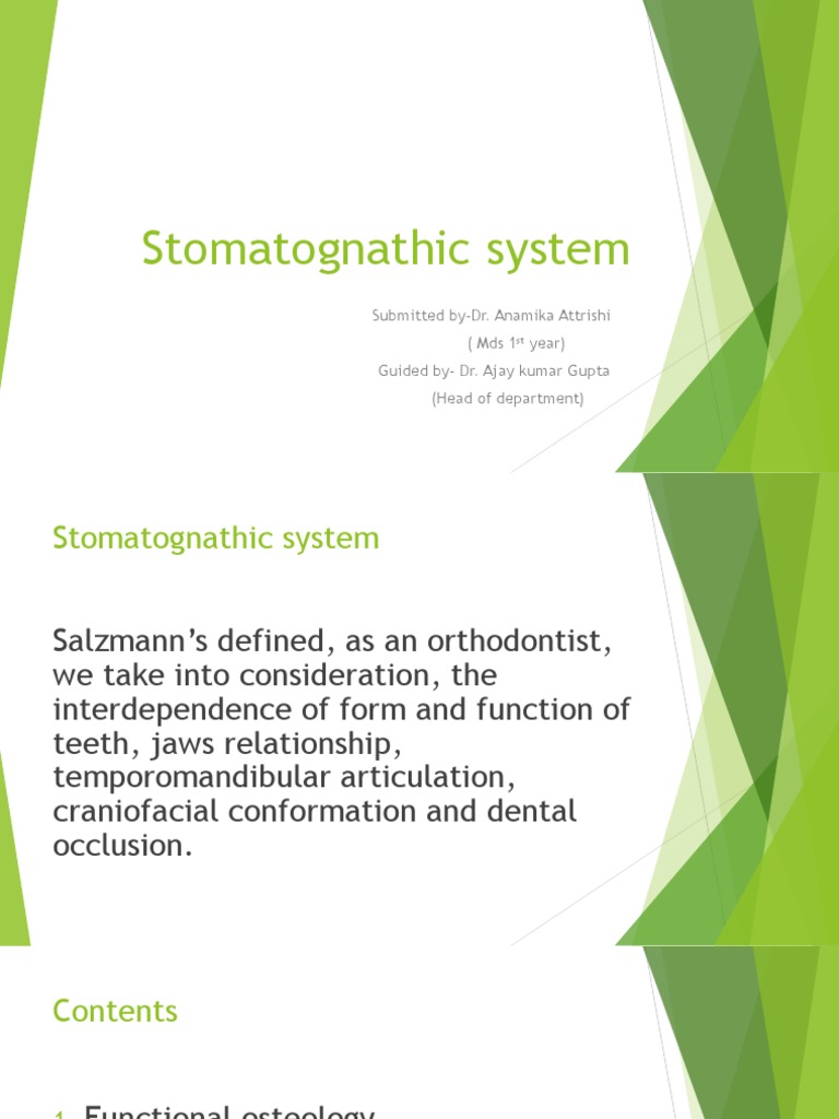 Final PPT Stomatognathic Sys | PDF | Mouth | Primate Anatomy