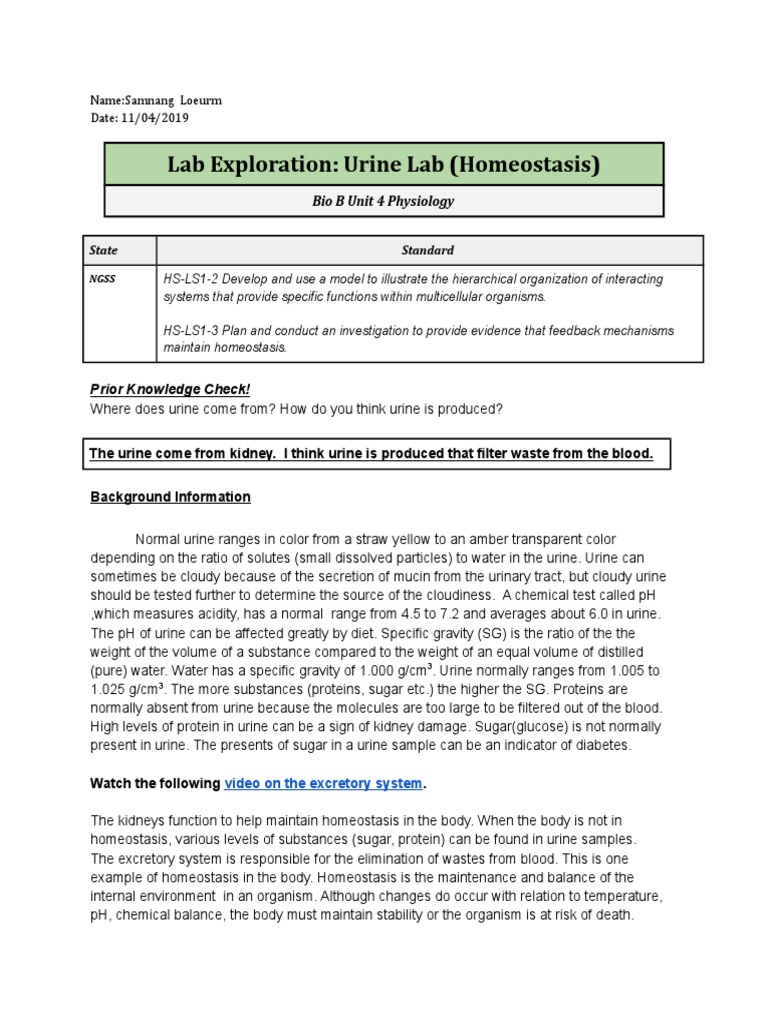 Bio B Physiology Urine Homeostasis Lab 1 | PDF | Kidney | Urine