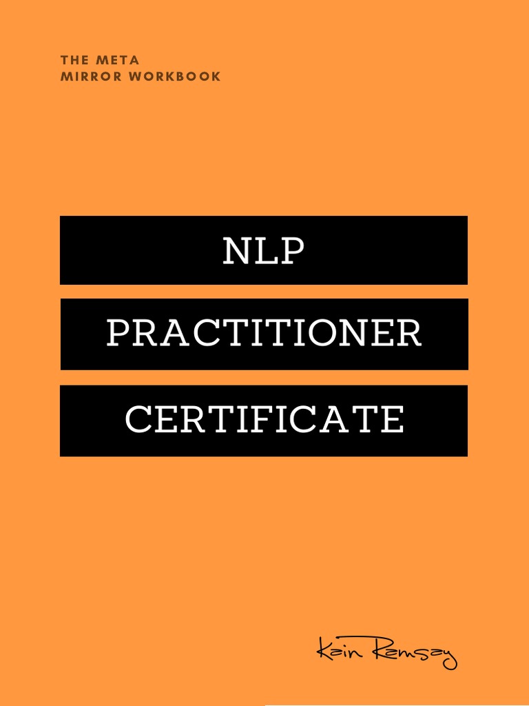 The Meta Mirror Workbook | PDF | Perception | Neuropsychological Assessment