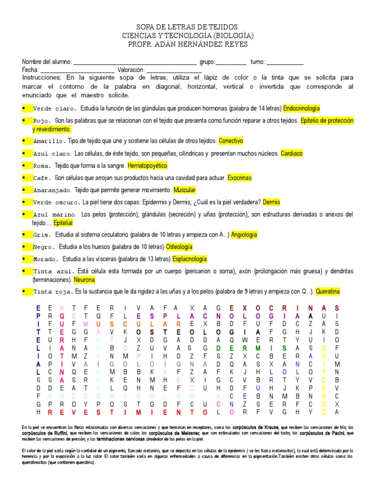 Sopa de Letras de Tejidos | PDF | Piel | Epidermis