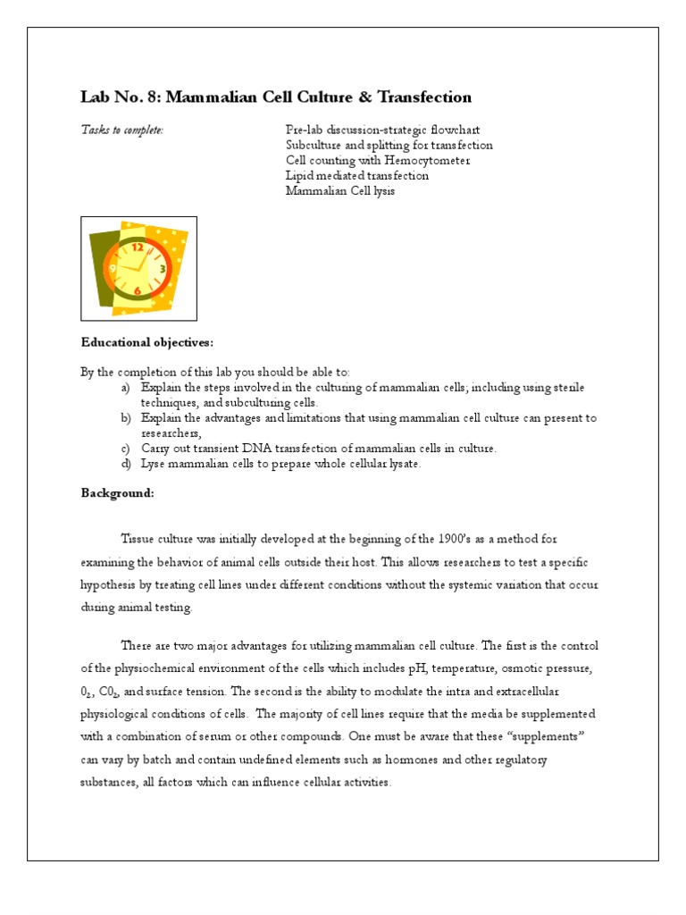 Lab 8 Cell Culture Lab & Transfection | PDF | Transfection | Cell Culture