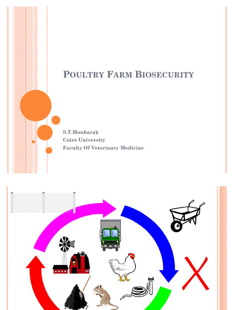 Poultry Farm Bio Security | PDF | Chemistry | Wellness