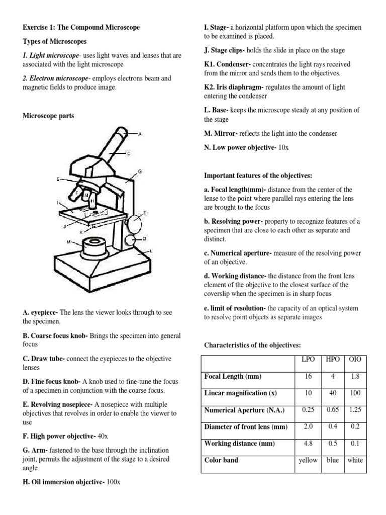 MCB Lab Reviewer | PDF | Staining | Bacteria