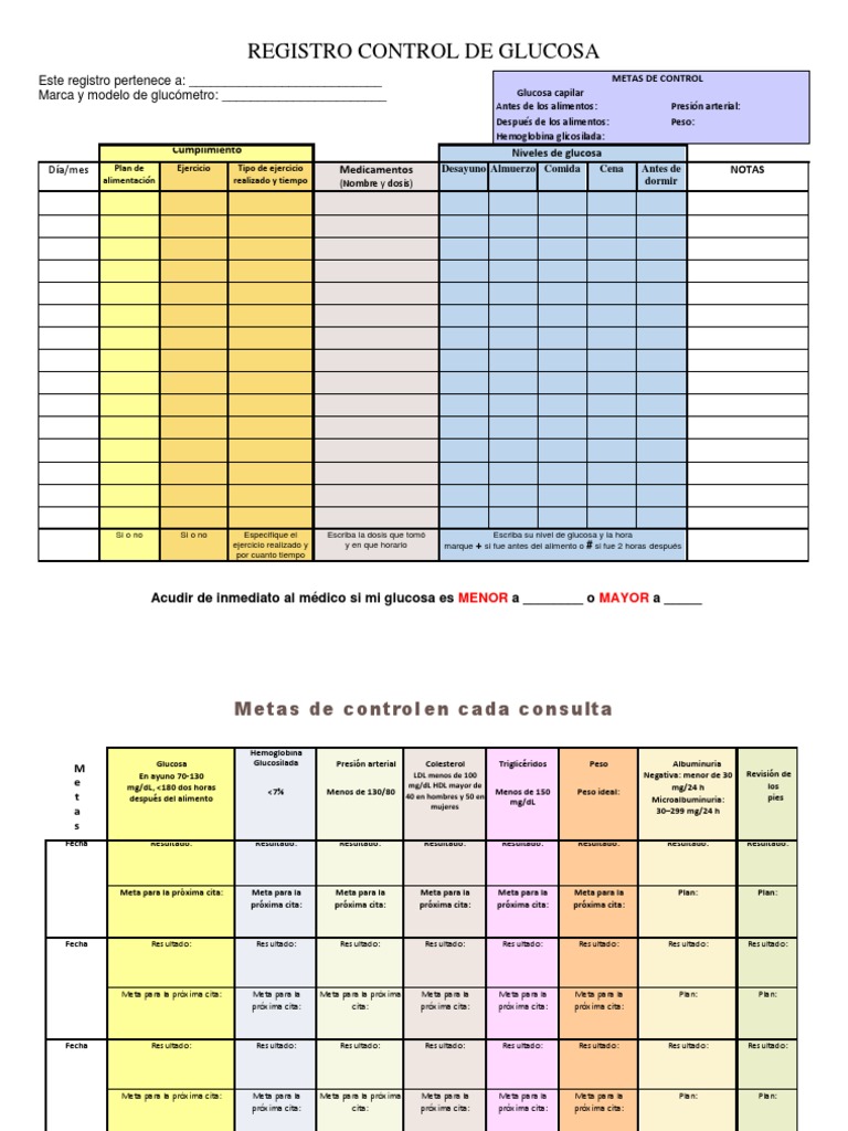 Hoja De Registro De Control De Calidad Del Glucómetro