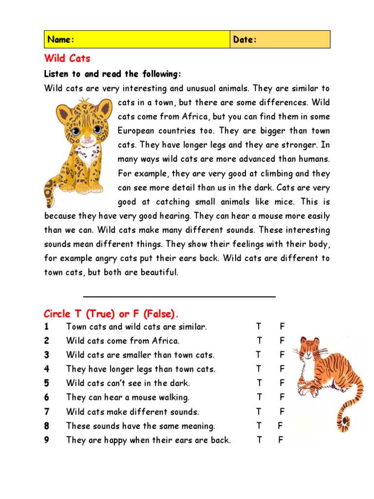 Wild Cats Reading Comprehension Exercises - 103232 | PDF | Art