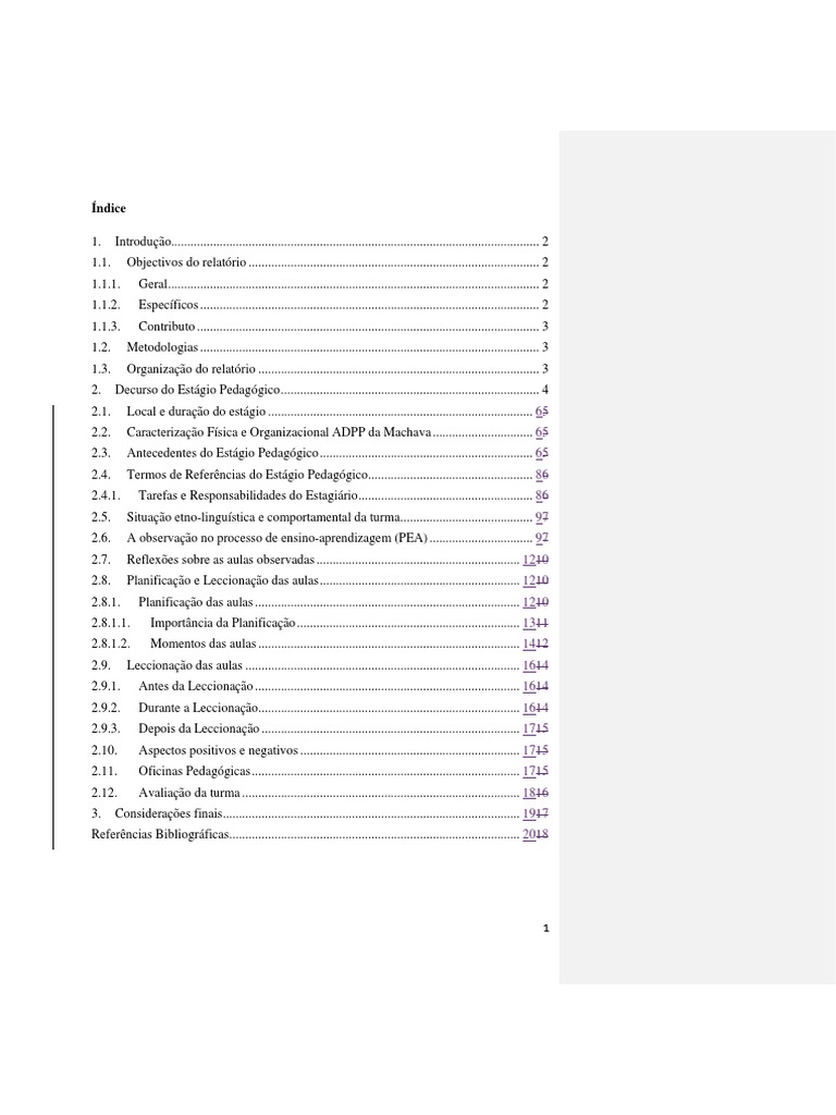 Magreth Relatorio Final | PDF | Pedagogia | Aprendizado