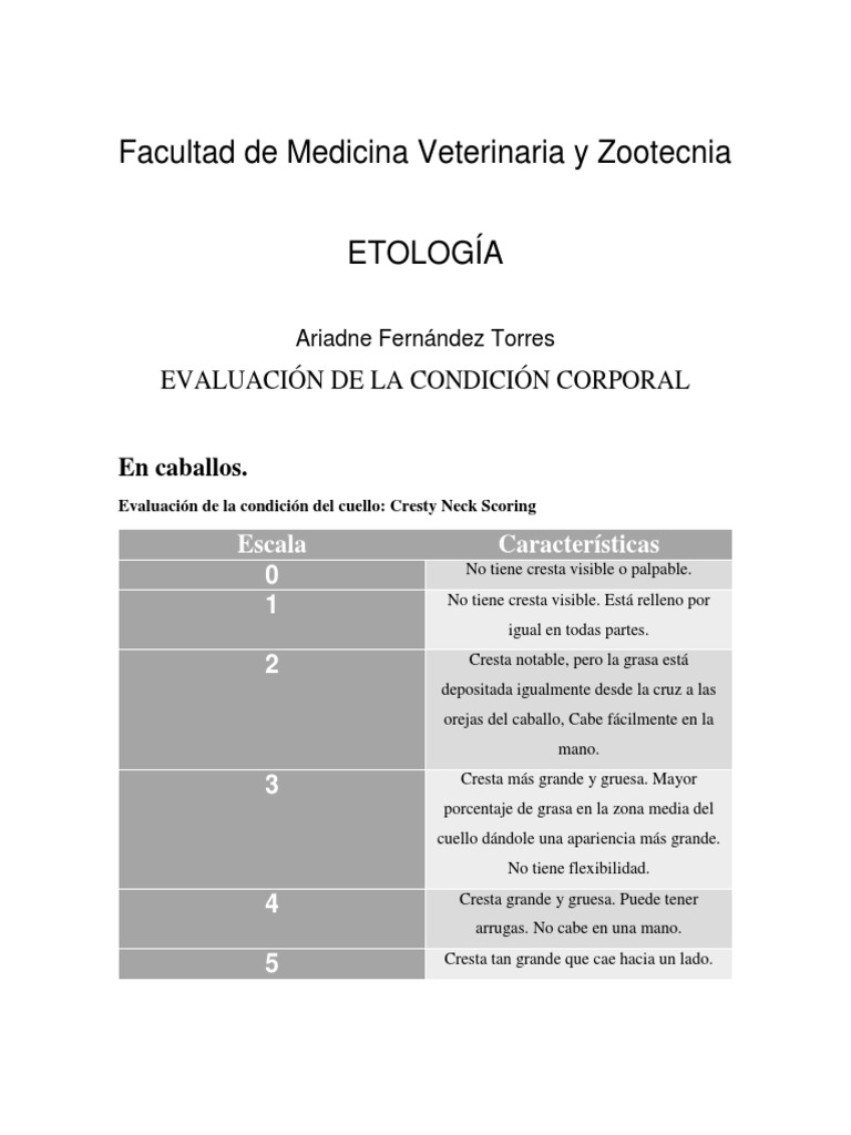 Condicion Corporal | PDF