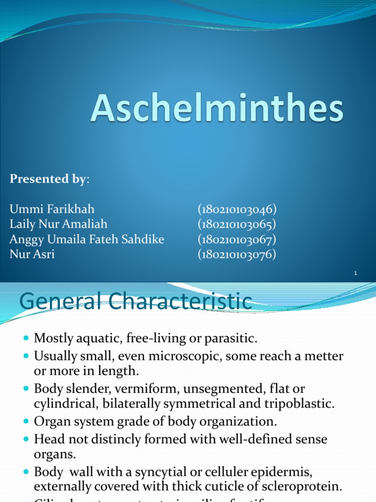 Aschelminthes | PDF | Nematode | Zoology