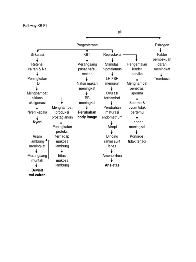 Pathway KB Pil | PDF