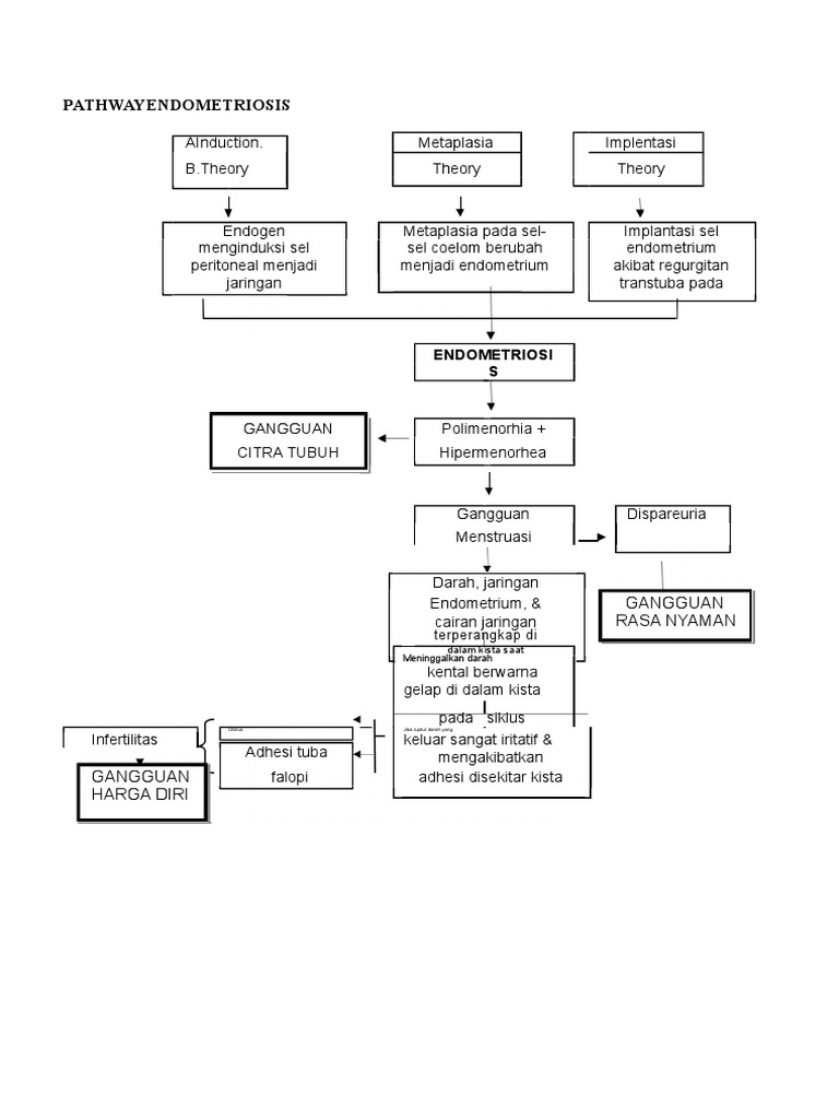 Patofisiologi Kista Endometriosis | PDF