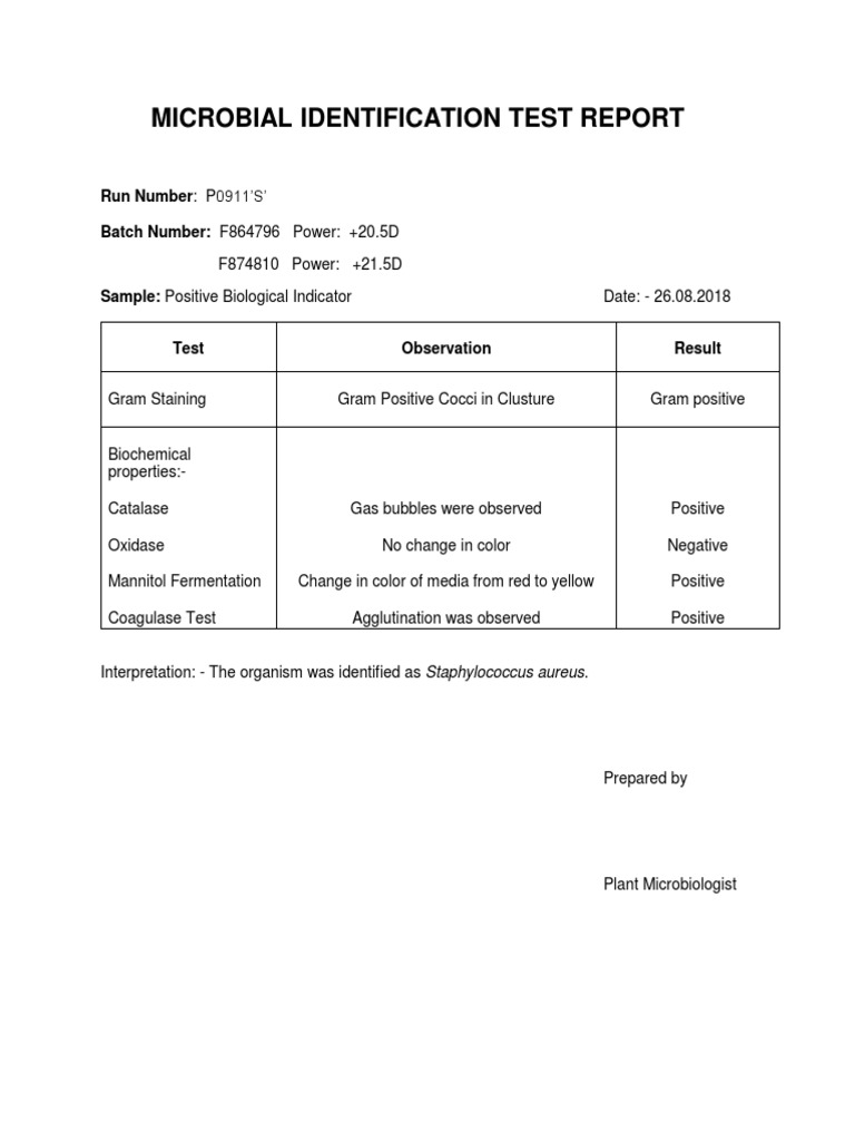 Microbial Identification Test Report | PDF