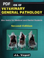 Animal Trauma Triage Score | PDF | Pulse | Physiology