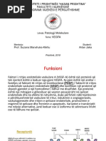 Letër Rekomandimi | PDF