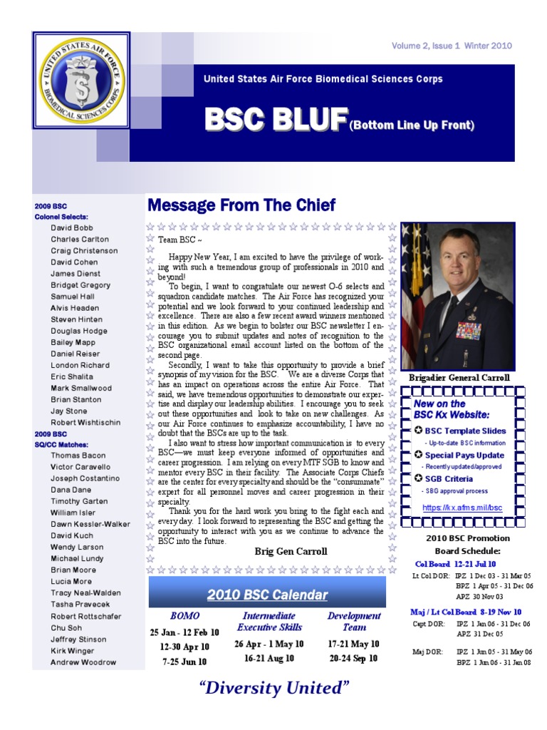 2010 BSC Promotions and Updates | PDF | United States Air Force ...