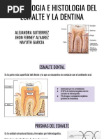 Región Maseterina | PDF | Salud y bienestar