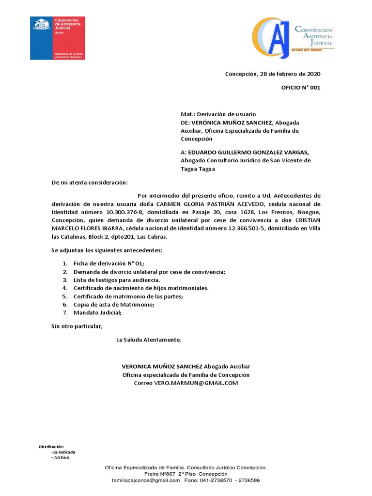 Oficio Conductor | PDF