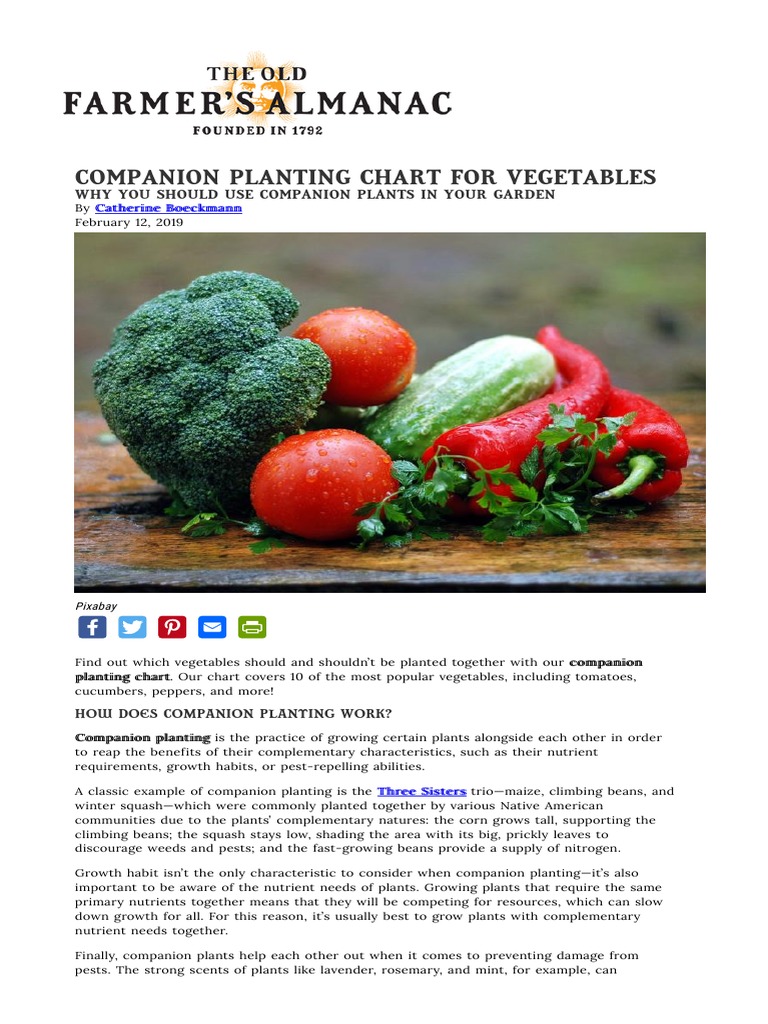 Companion Planting Chart for Vegetables | PDF | Dill | Vegetables