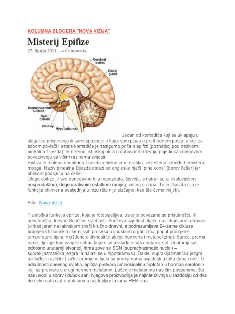 EPIFIZA | PDF