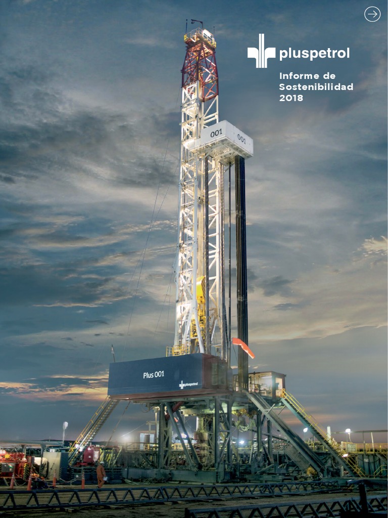 Pluspetrol Informe 2018 Castellano Final Interactivo | PDF | Petróleo ...