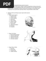 Istilah Istilah Regio Tubuh Manusia | PDF | Kajian Bahasa Asing | Sains ...