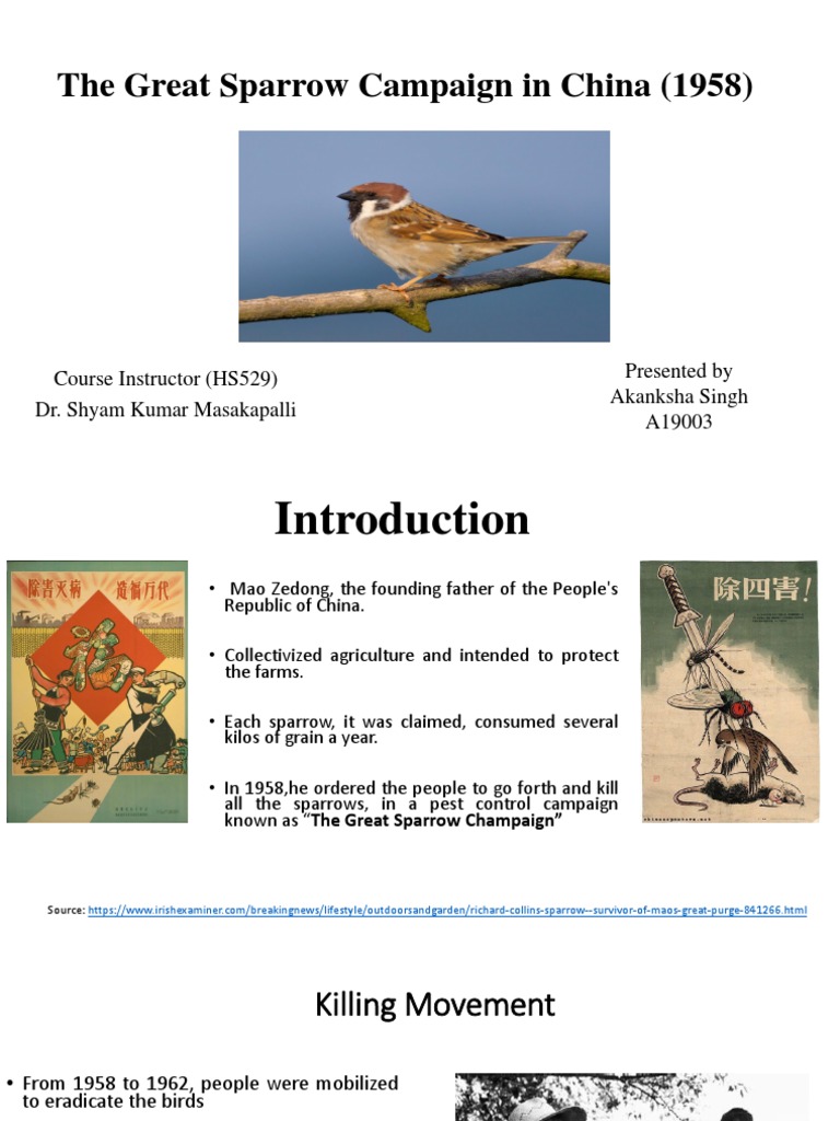 A19003 The Great Sparrow (Campaign HS52911 | PDF | Agriculture | Nature