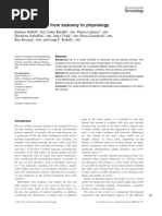 Noongar Dictionary Second Edition | PDF