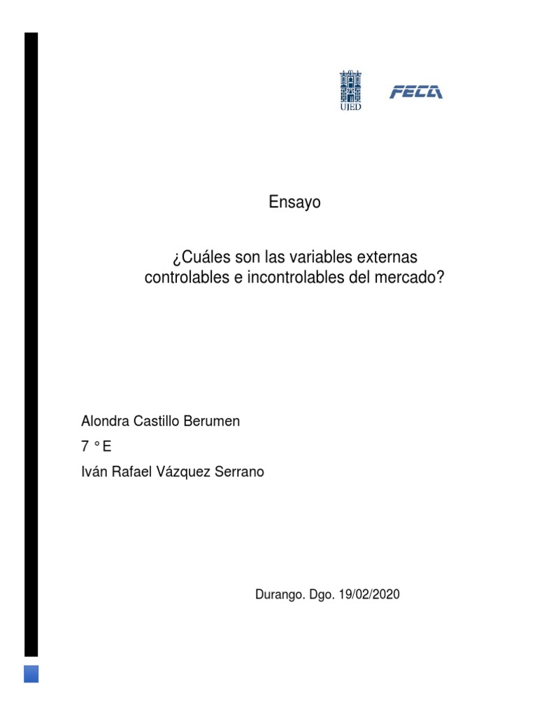 Variables Controlables y Las Incontrolables | PDF | Marketing | Economias