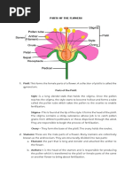 Rose Flower Anatomy and Functions | PDF