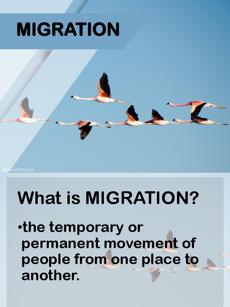 Migration | PDF | Human Migration | Immigration